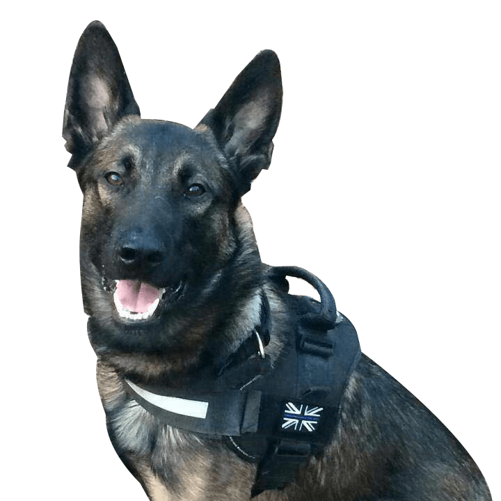 Blueline Security | Private Security Company UK