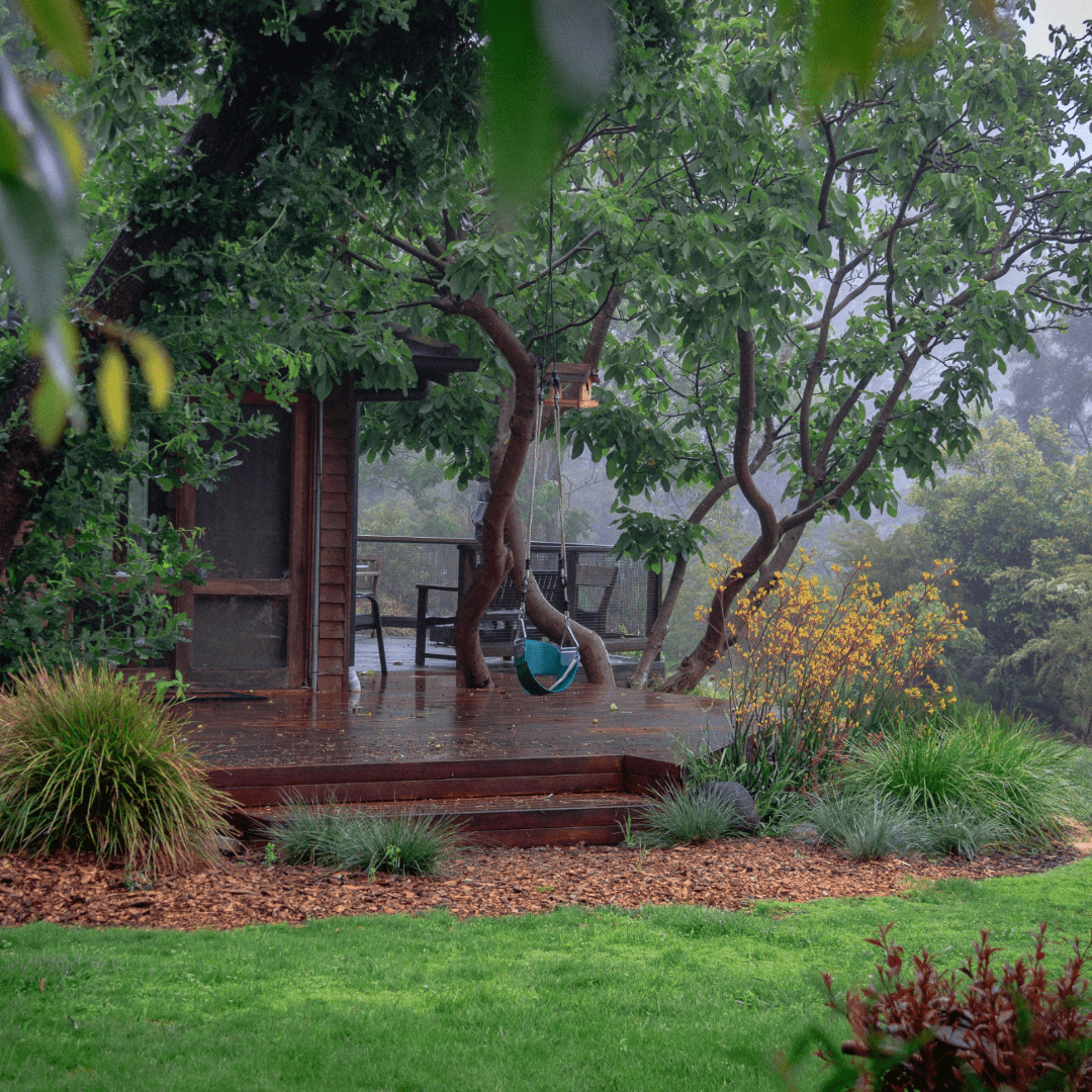 Garden Design in Southern Highlands | Wariapendi Native Nursery