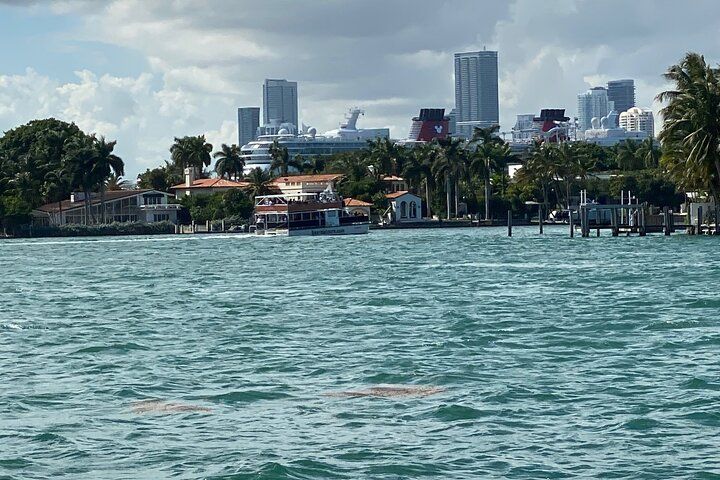 Miami Boat Cruises - Experience the Magic of Miami from the Water!