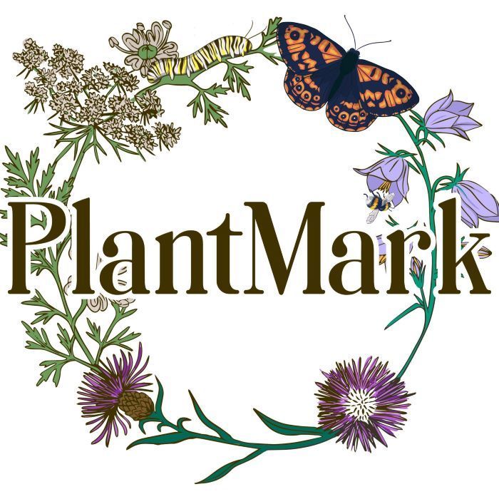 Plantmark.frl, Kwekerij voor inheemse vaste planten