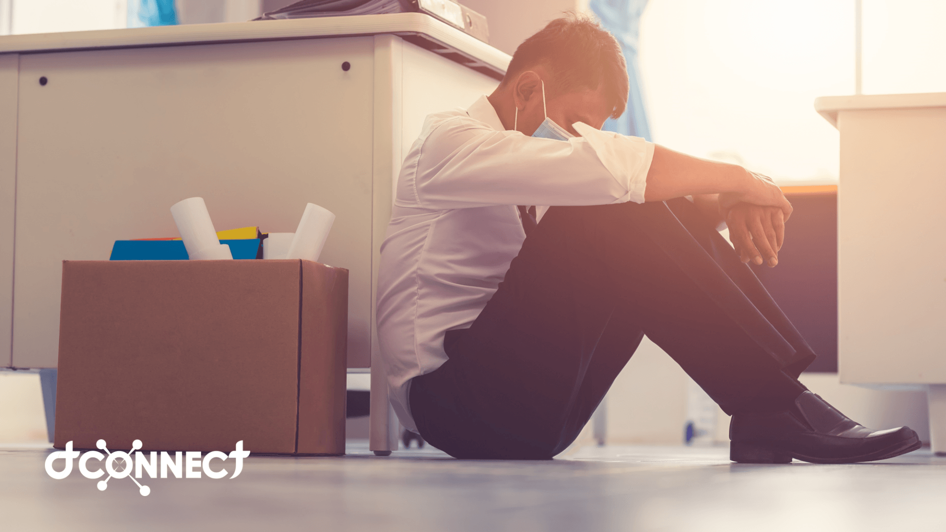 You Just Got Fired, Now What?