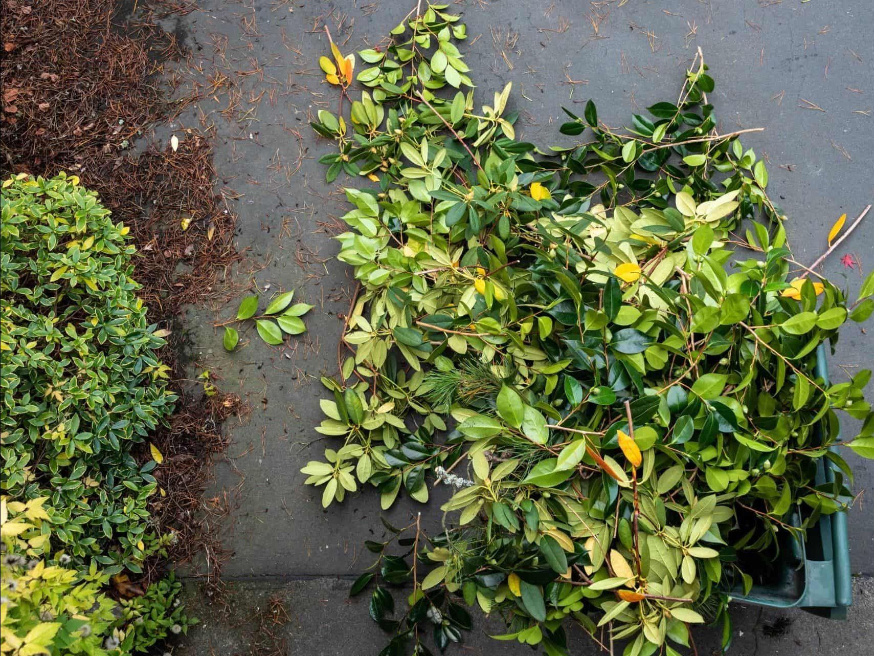 Items We Take: Count Junkula | North Carolina Junk Pickup & Disposal