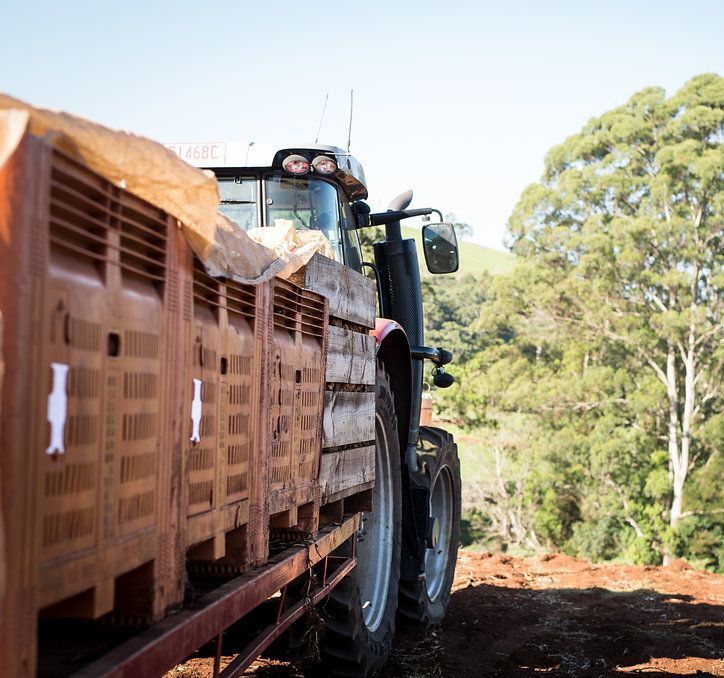 About Us - Discover Our Story | Wickham Farms