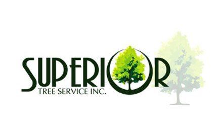 Tree Trimming Service: Highland Park, IL | Superior Tree Service Inc.