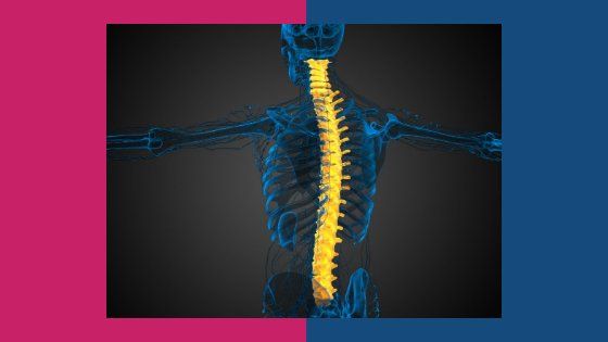 Six tips for maintaining spine health as you age