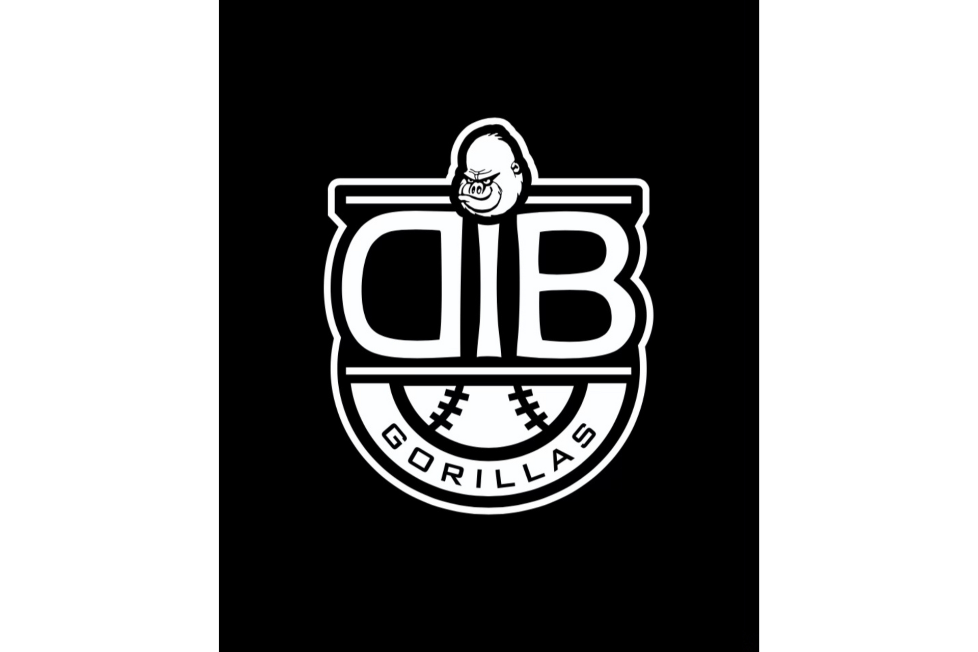 DIB Baseball Academy Salinas & Monterey Ca