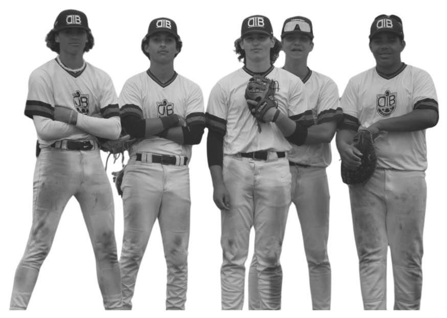 DIB Baseball Academy Salinas & Monterey Ca