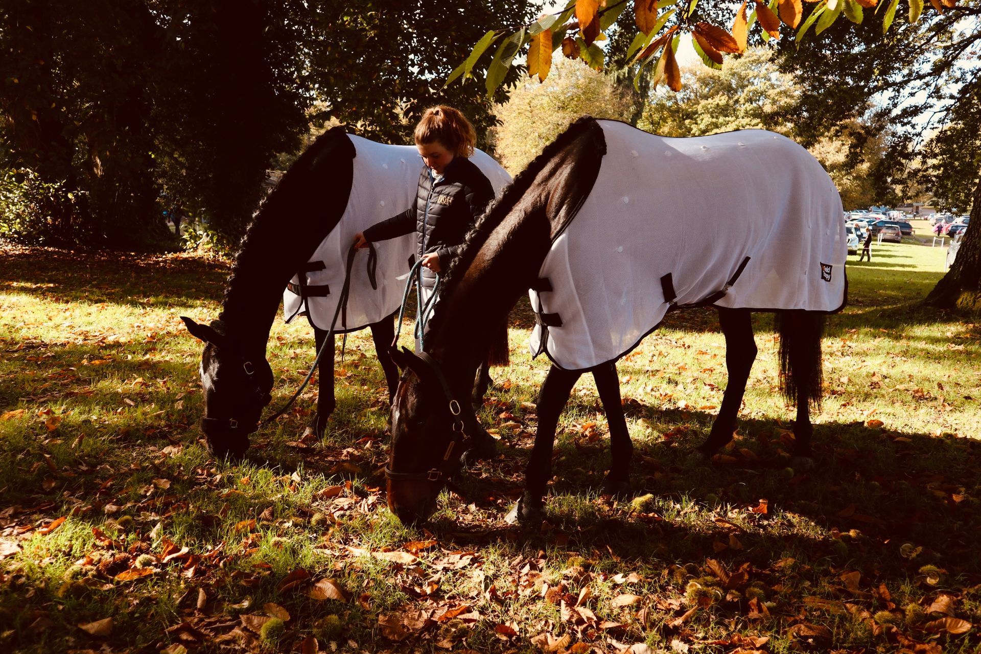 Equine Performance Equipment | The HUSK