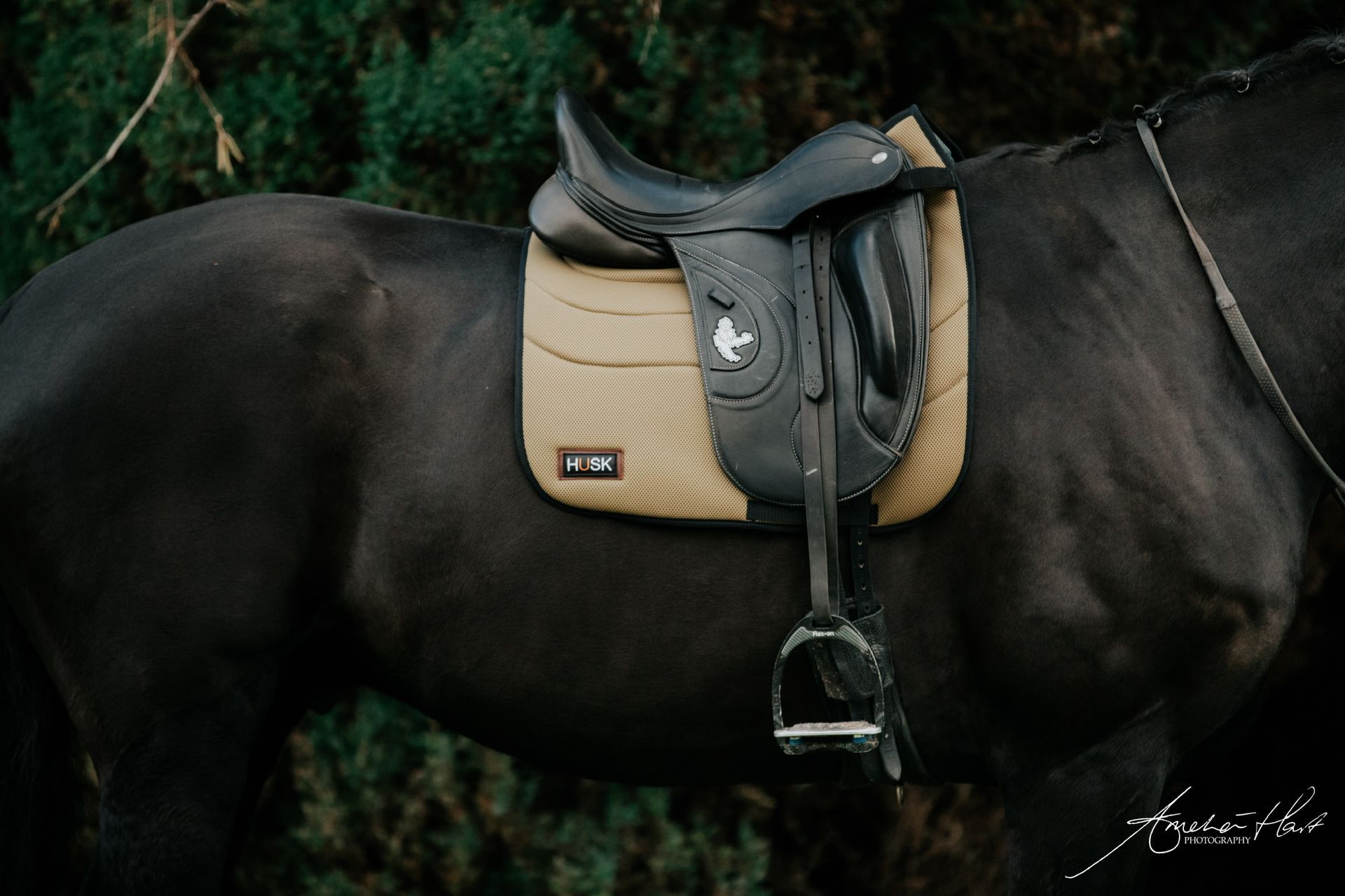 HUSK. | Home - Shop our Breathable Boots, Saddle Pads, Rugs