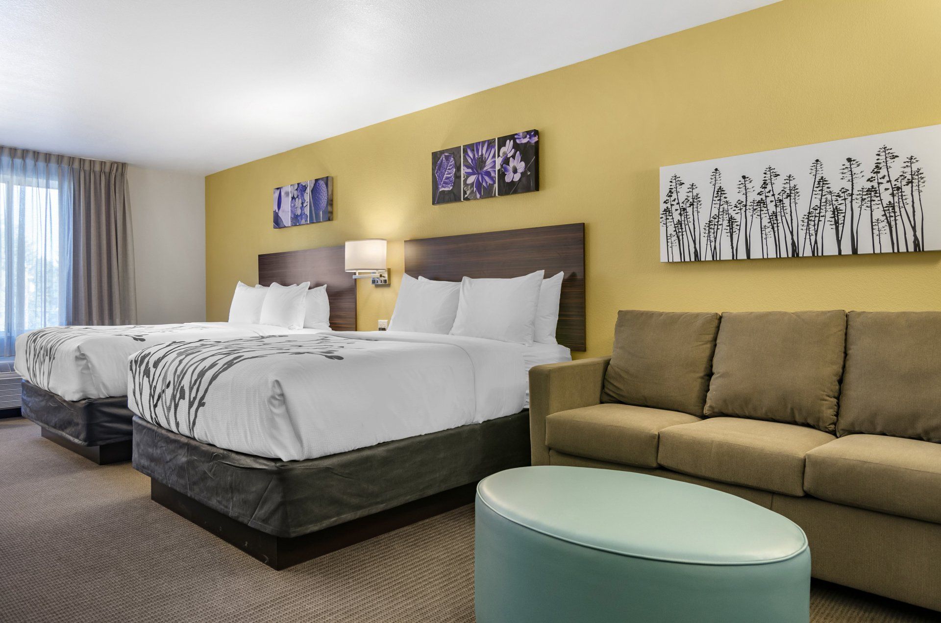 HOME [www.sleepinngreatfalls.com]