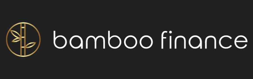 Finanzstrategien mit nachhaltigem Erfolg | bamboo finance