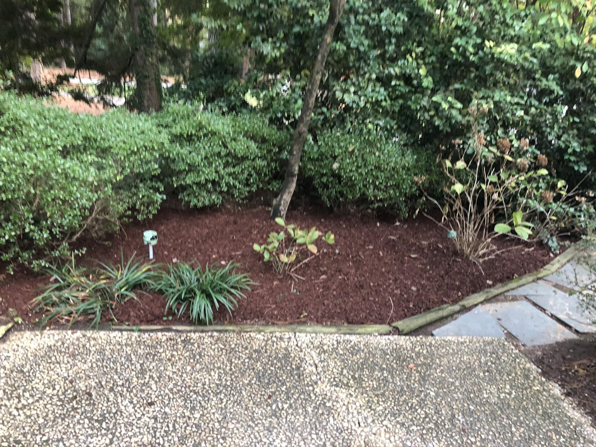 Top Rated Landscaper and Plant Installation Company in Raleigh, North ...