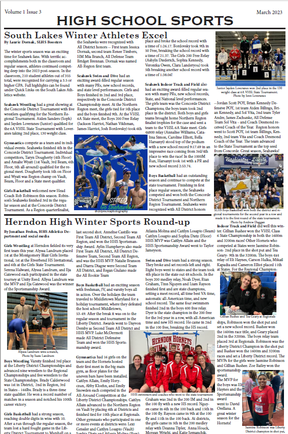 Reston, Virginia Newspaper