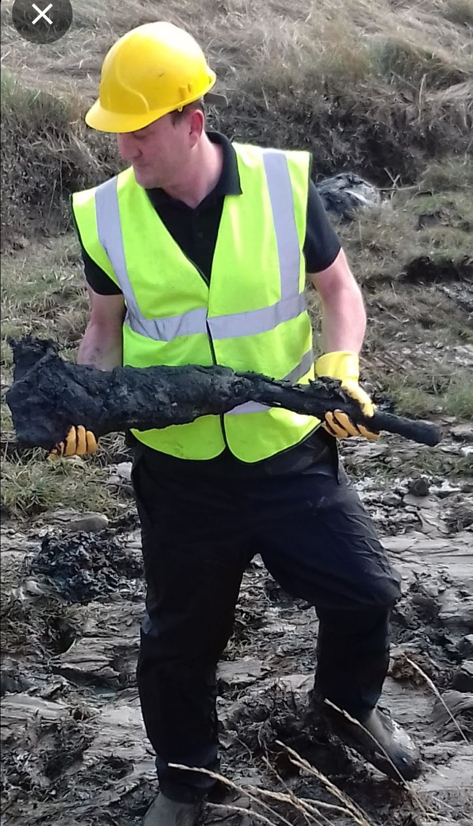 Hawker Hurricane P3966 Paddy Hemingway 85 Squadron, THE LAST OF THE FEW