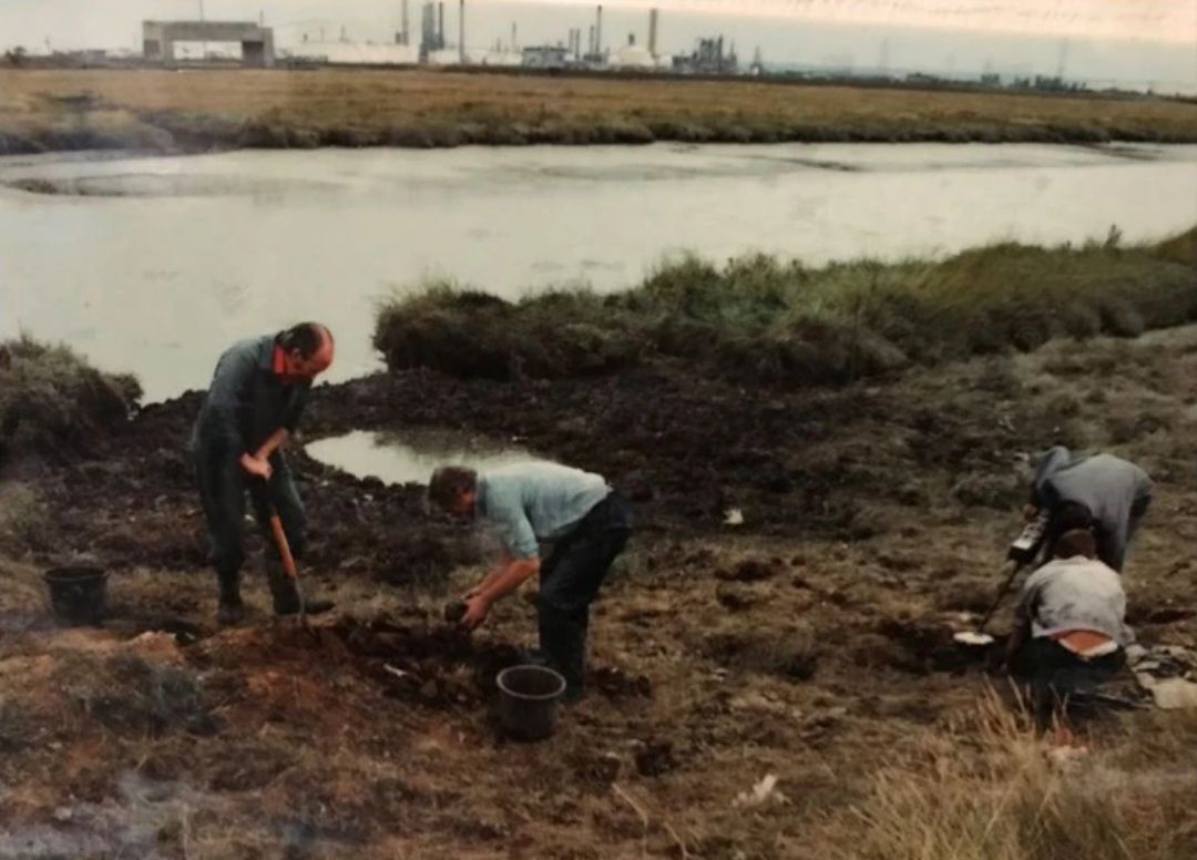 Hawker Hurricane P3966 Paddy Hemingway 85 Squadron, THE LAST OF THE FEW