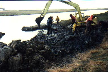 Hawker Hurricane P3966 Paddy Hemingway 85 Squadron, THE LAST OF THE FEW
