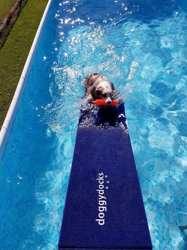 Floating Dog Ramps | United States | 844.781.7877