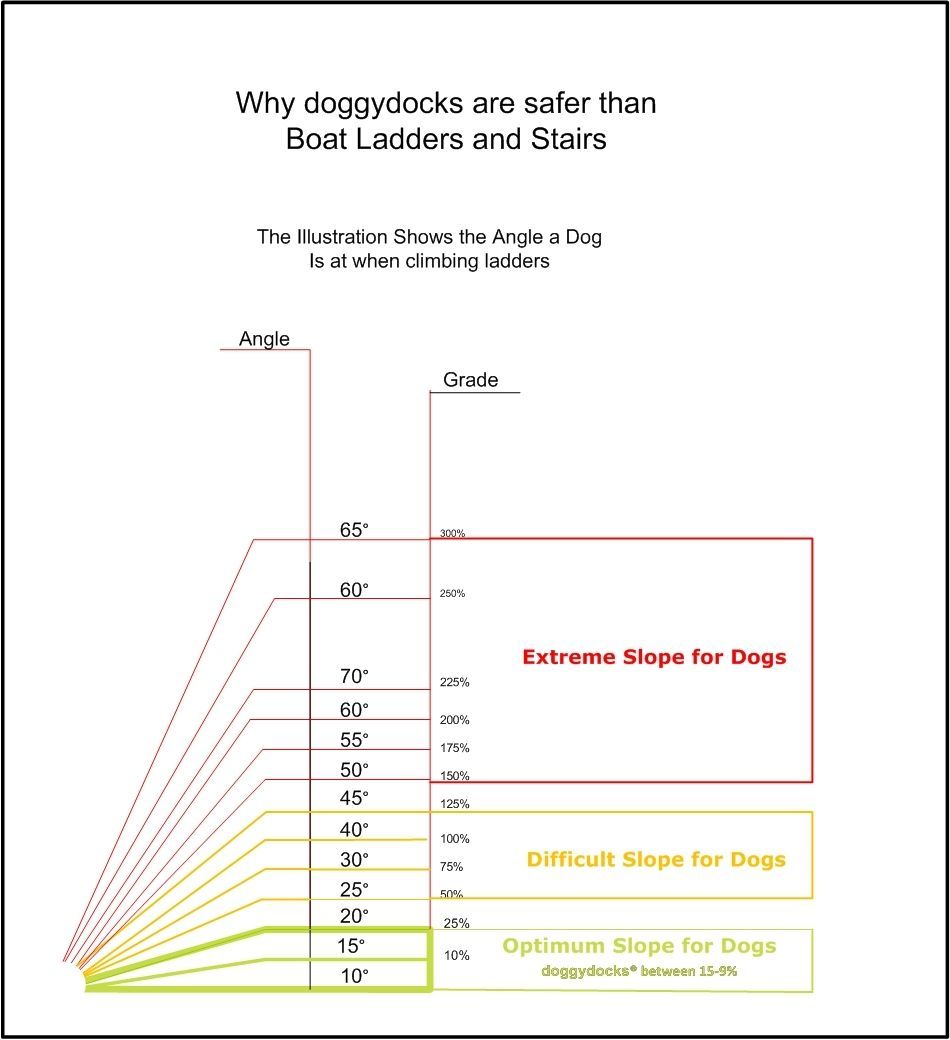 The Original Dog Boat Dock - Shop Now at doggydocks®