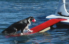 Floating Dog Ramps | United States | 844.781.7877