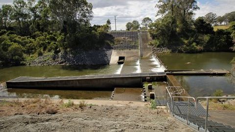 Fishway Monitoring Projects | Sunshine Coast, QLD | Fishology Consulting