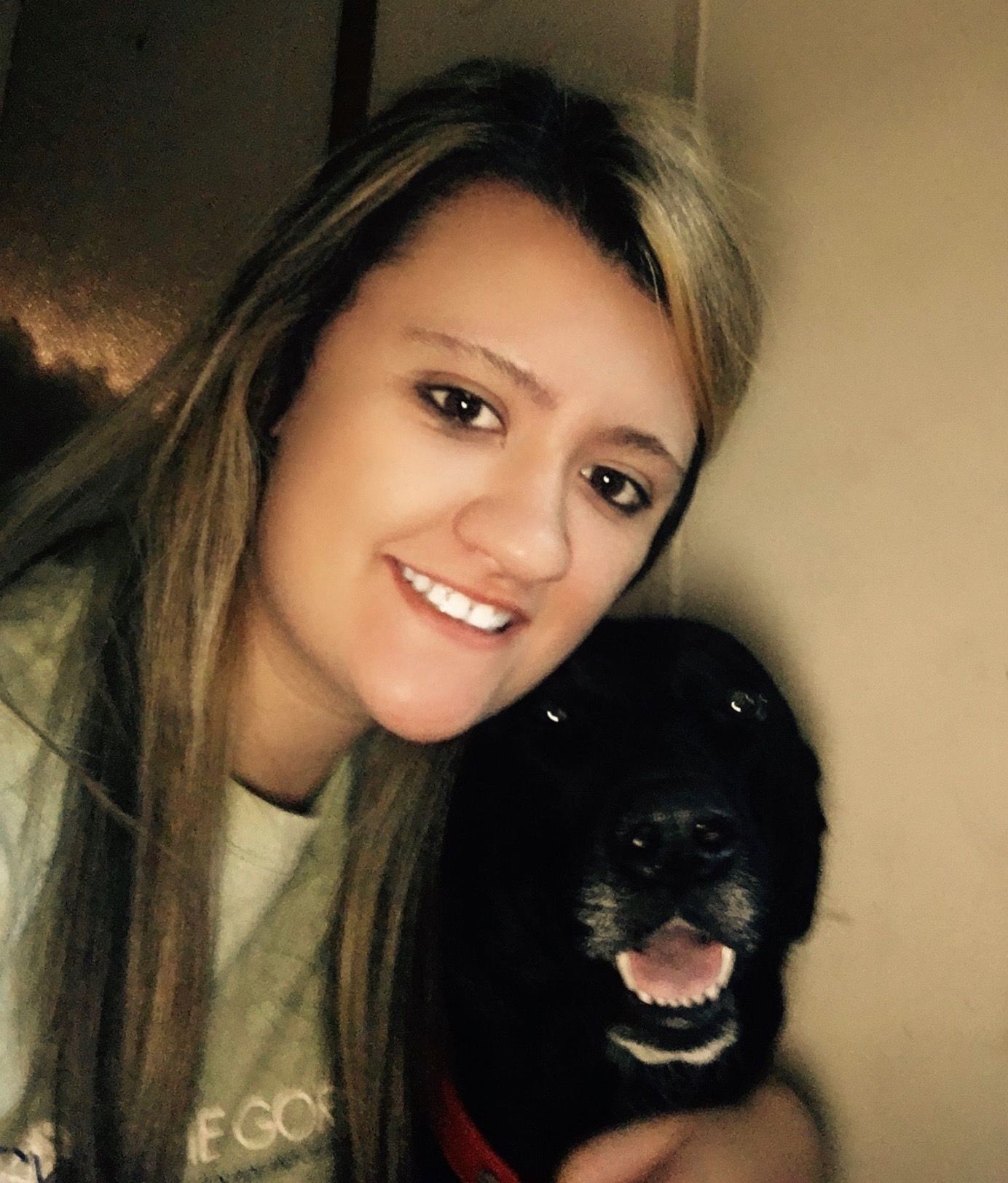 Noah's Ark Animal Hospital • Lexington, Kentucky