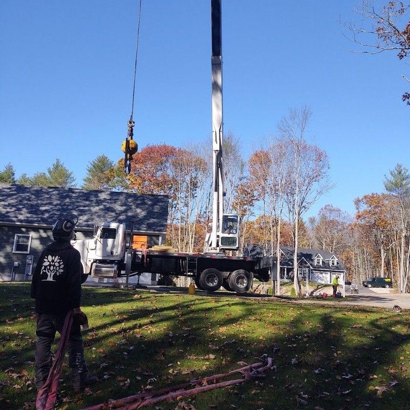 Crane Tree Work | Timber Falls Tree Care Service