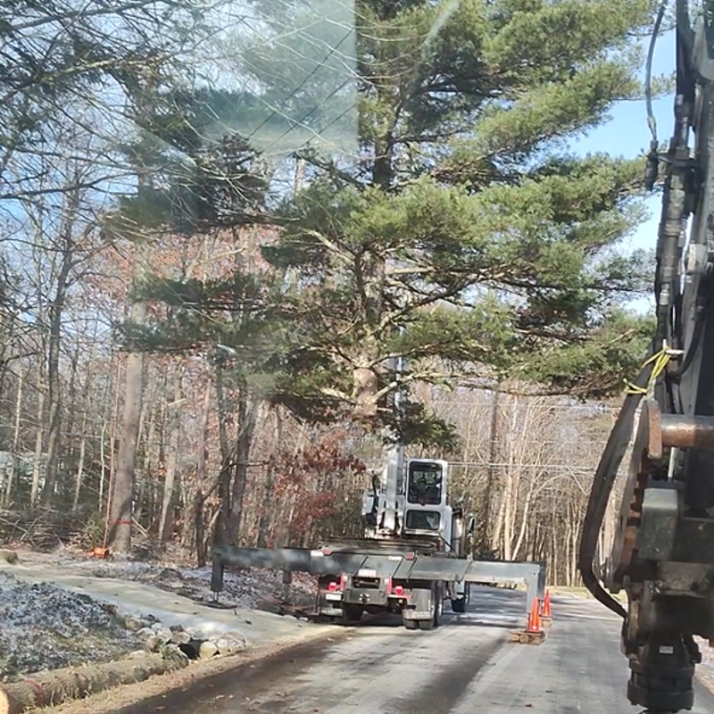 Our Work | Timber Falls Tree Care Service