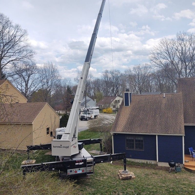 Crane Tree Work | Timber Falls Tree Care Service
