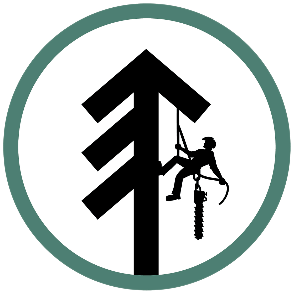 Timber Falls Tree Care Service | Tree Work, Arborist