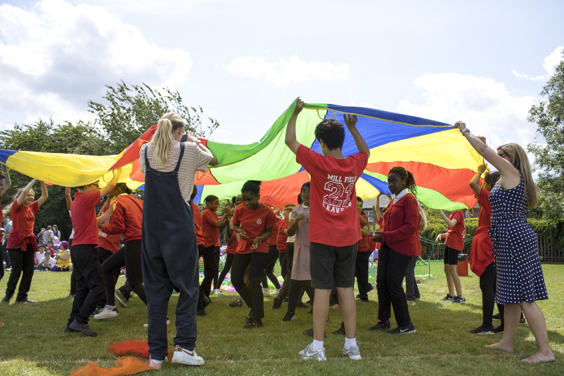 Look to the sky! Announcing our new school name - Alder Tree Primary