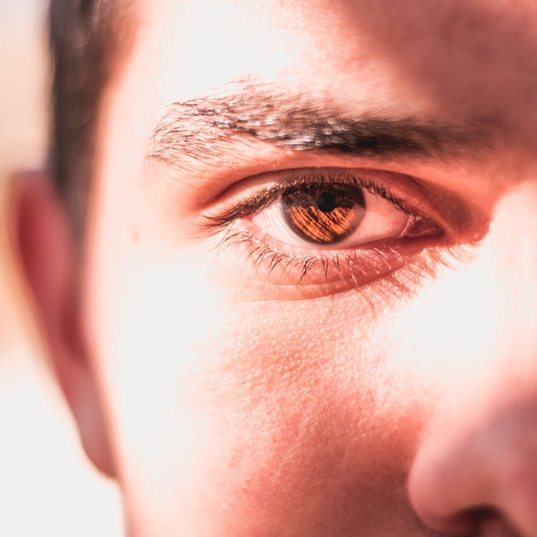 Eyewear and Eye Exams | Toronto, ON | Wally’s Optical