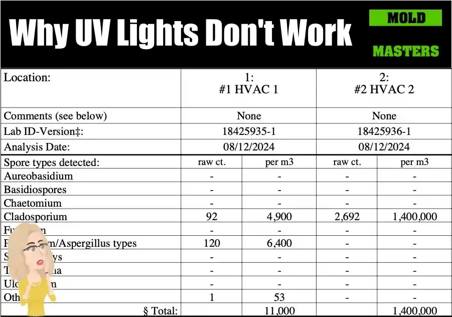 Why UV Lights 🚫 Don’t Work for Mold Remediation | Mold Masters