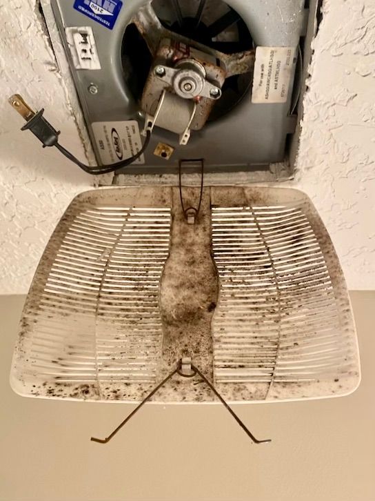 Exhaust Fans & Mold Prevention Tips for Florida Bathrooms 🚿💨
