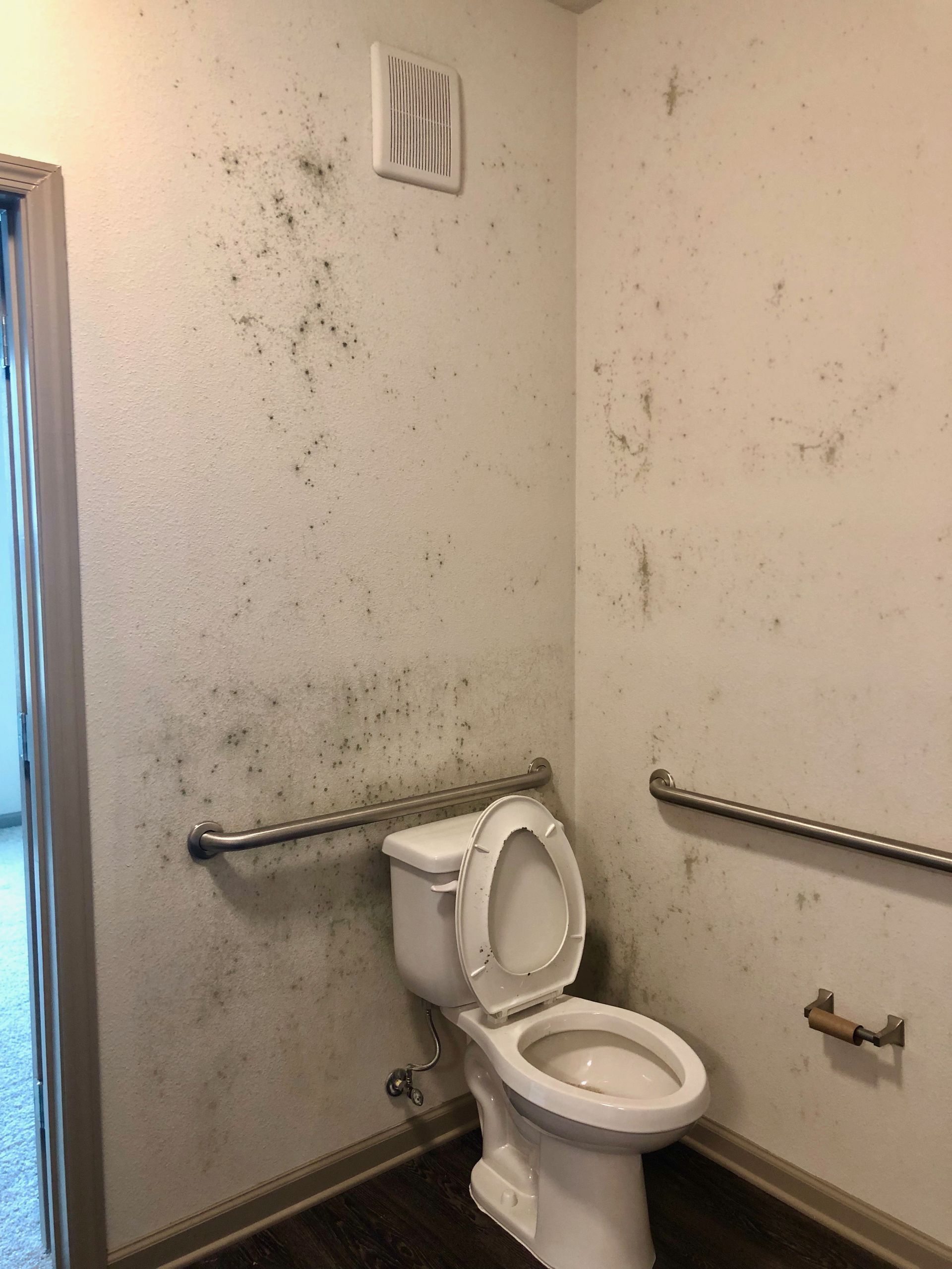 Before & After Mold Removal | Dunedin, St. Augustine FL | Mold Masters