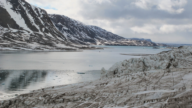 Svalbard Beauty