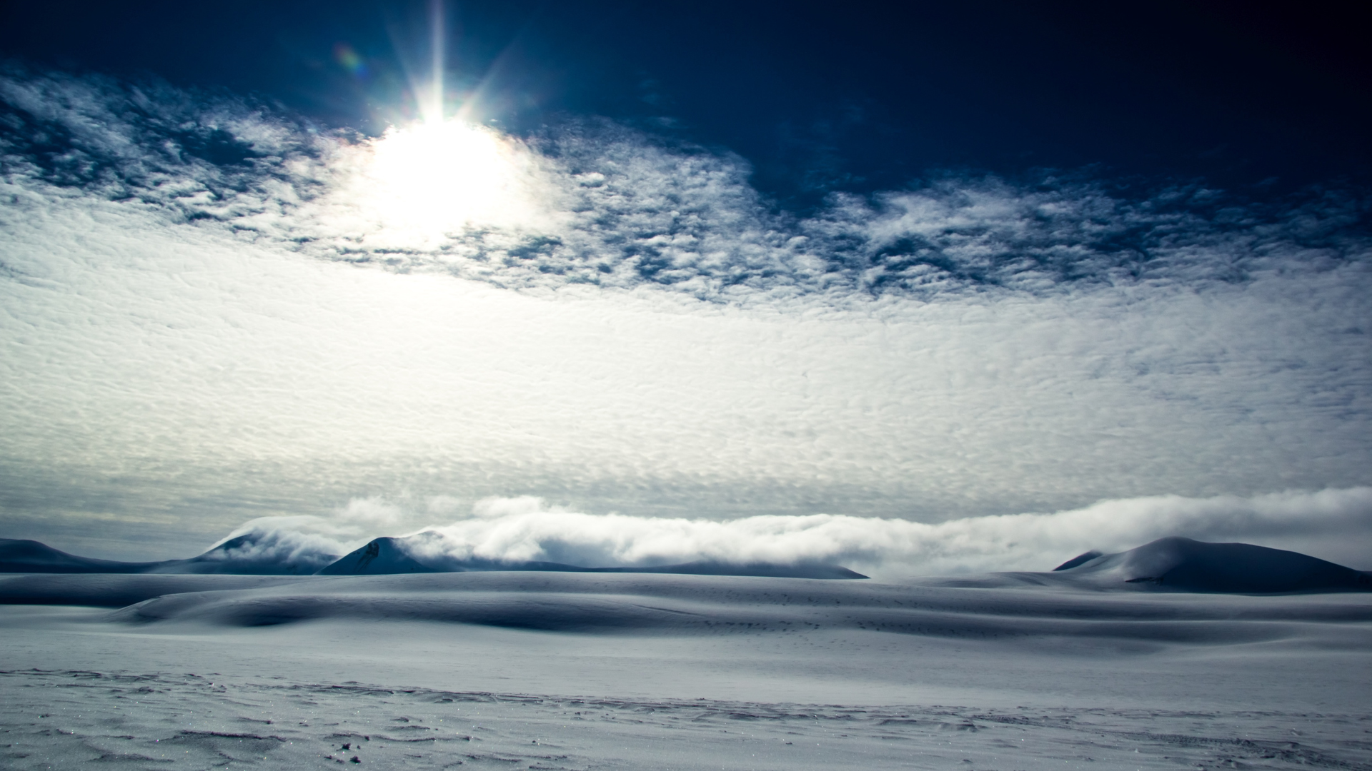 Svalbard Family-Friendly Attractions in June