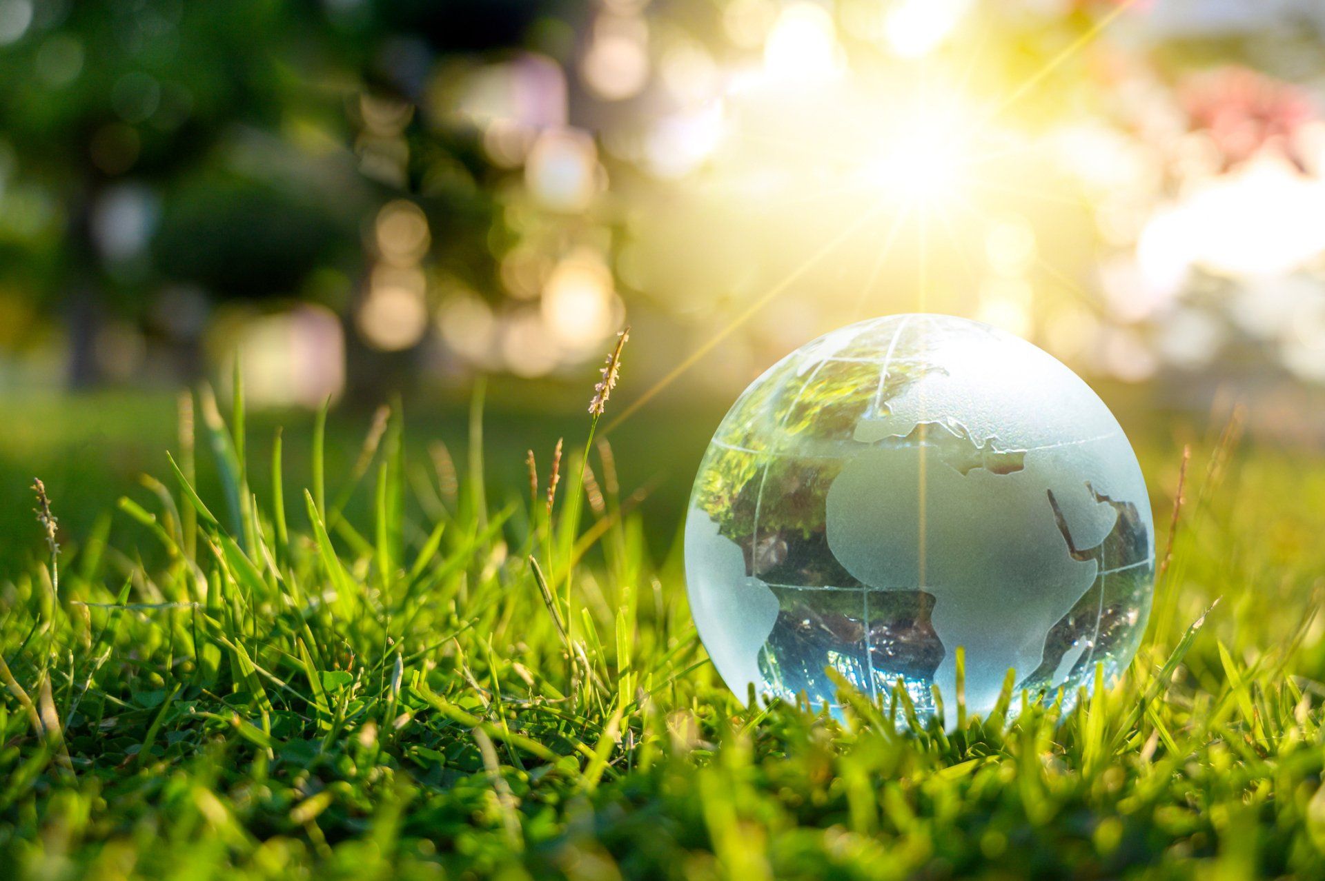 Waste Cost Solutions