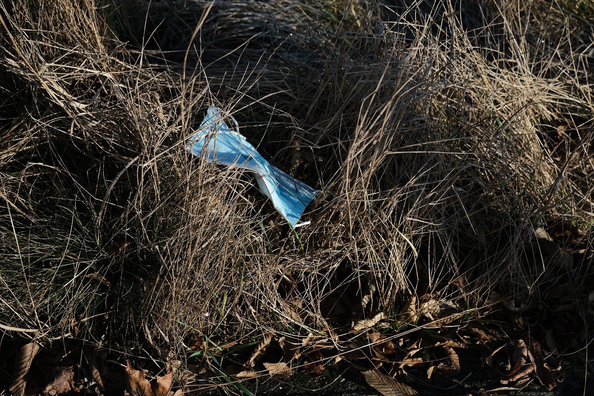 What Will Happen If There Is No Waste Management?