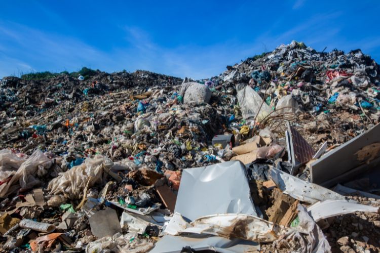 Waste Management Do's and Don'ts | Waste Cost Solutions