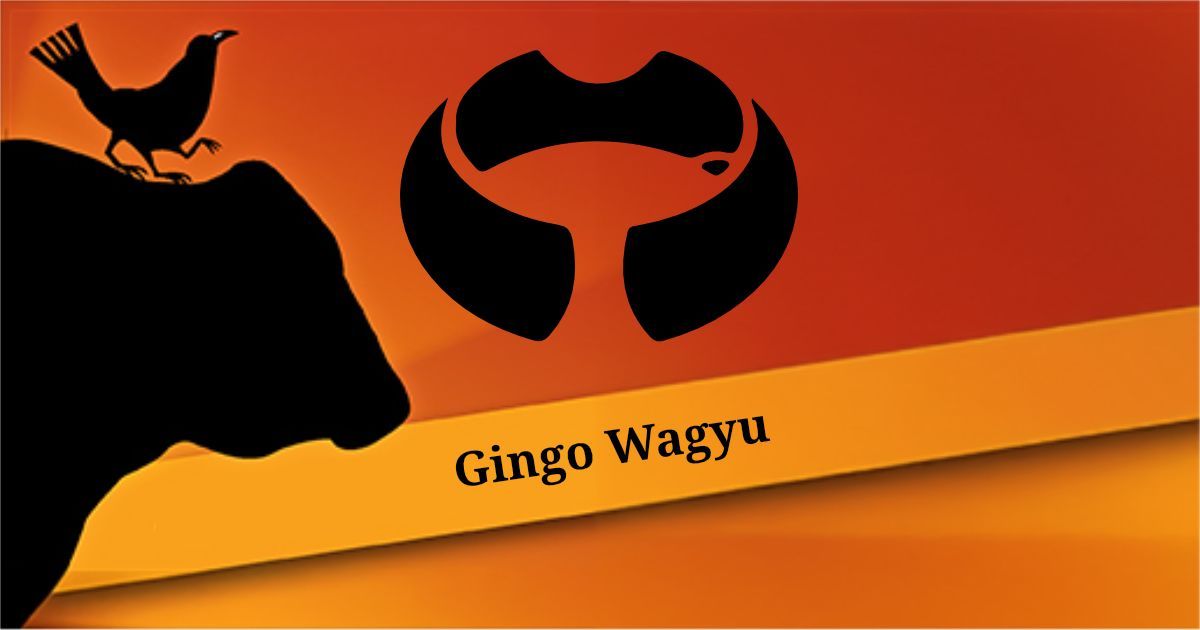 Australian Ginjo Wagyu Forum - Home of Ginjo Wagyu
