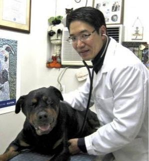 Company History | Honolulu, HI | The Pet Clinic