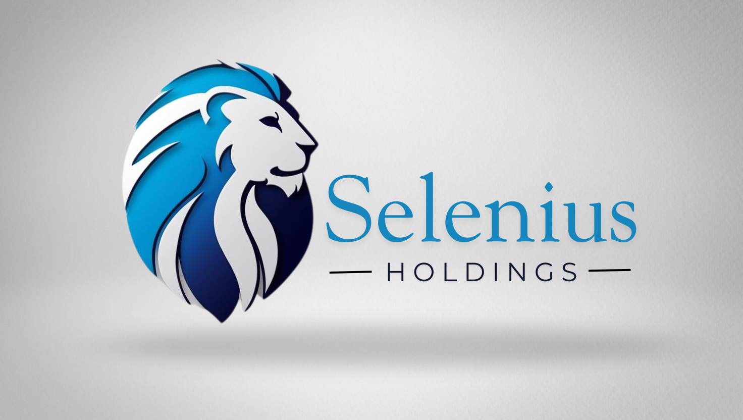 Investment Opportunities | Selenius Holdings
