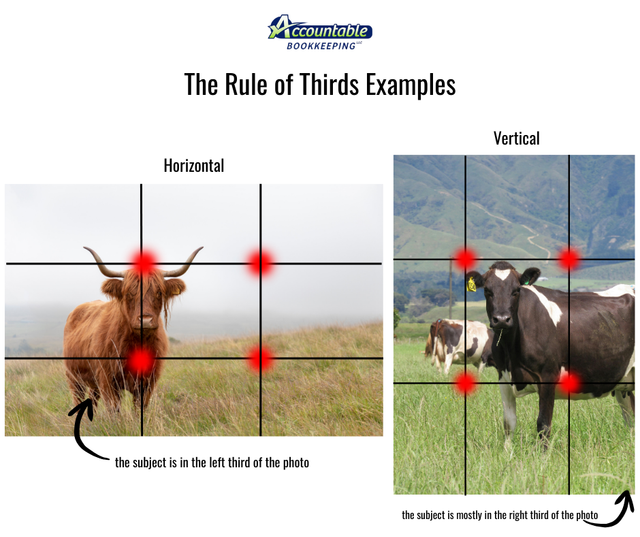 Rule Of Thirds Explanation Badge For Participation In General Assault