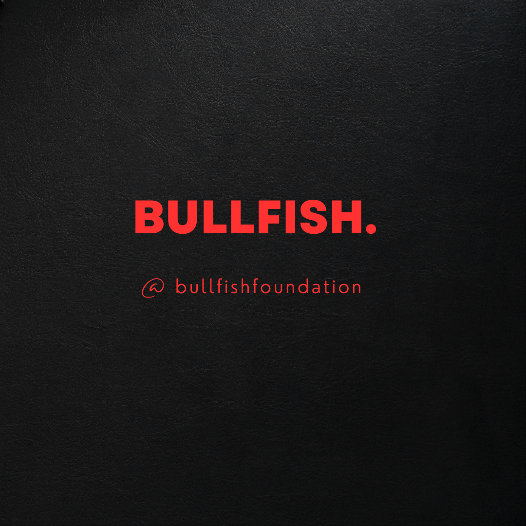 HOME [bullfish.online]