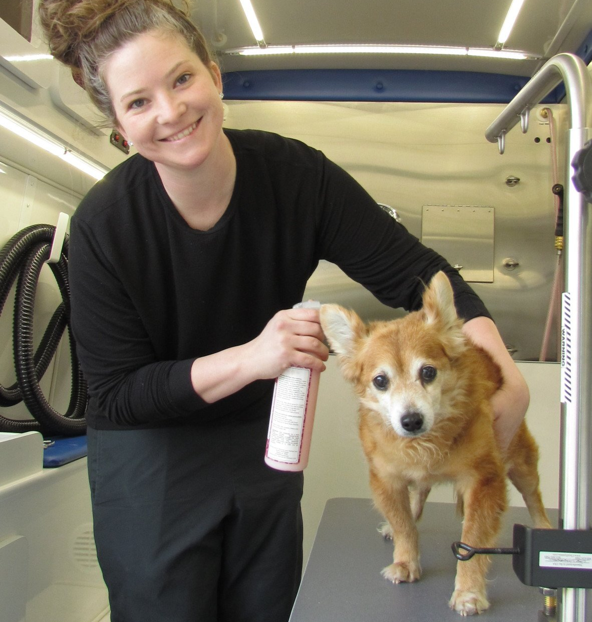 Mobile Dog Groomer Near Me | McKinney, Allen, Frisco & Plano | Primped ...