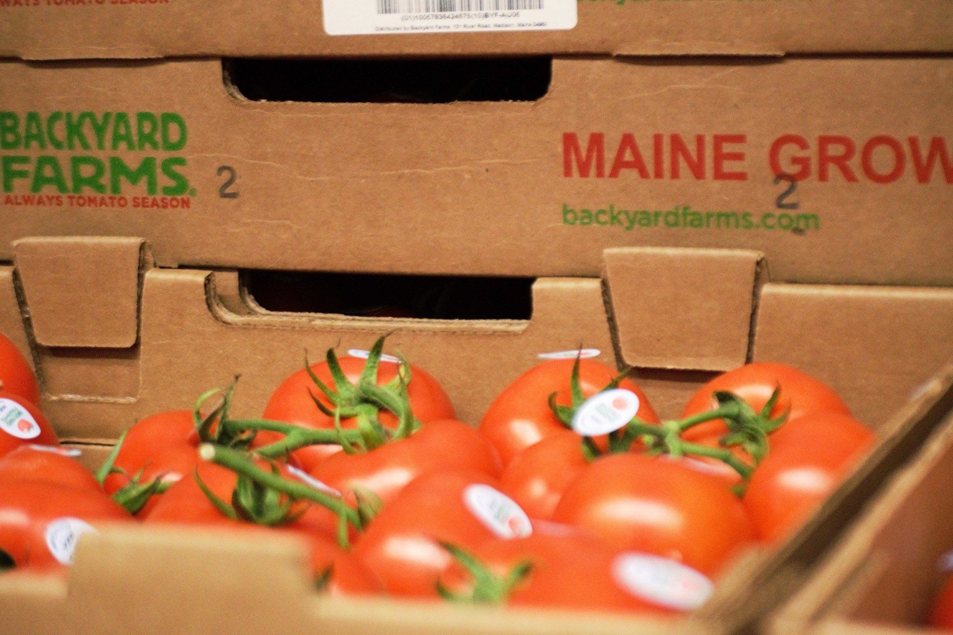 Shapiro Produce - 50 Years of High Quality Produce