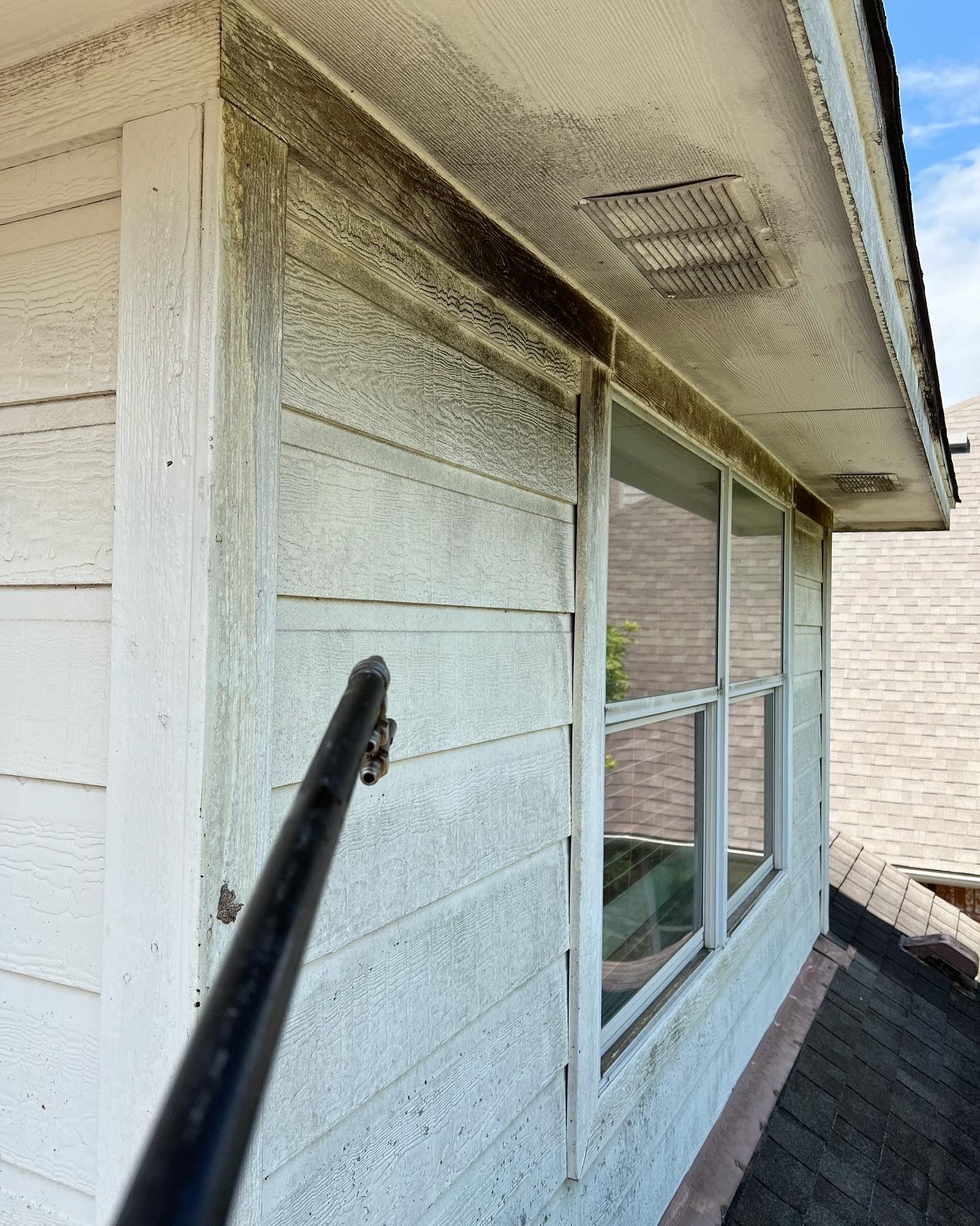 Soft-washing for dirty siding to remove black mold
