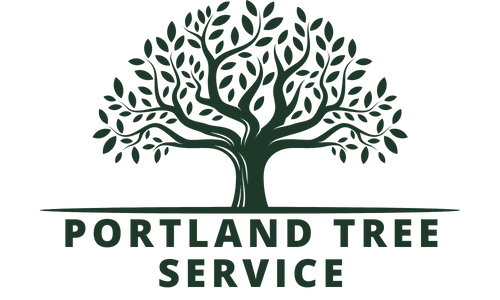 Portland Tree Service Boring | Sandy | Damascus | Clackamas OR