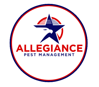 Termite Control | Spring, TX | Allegiance Pest Management