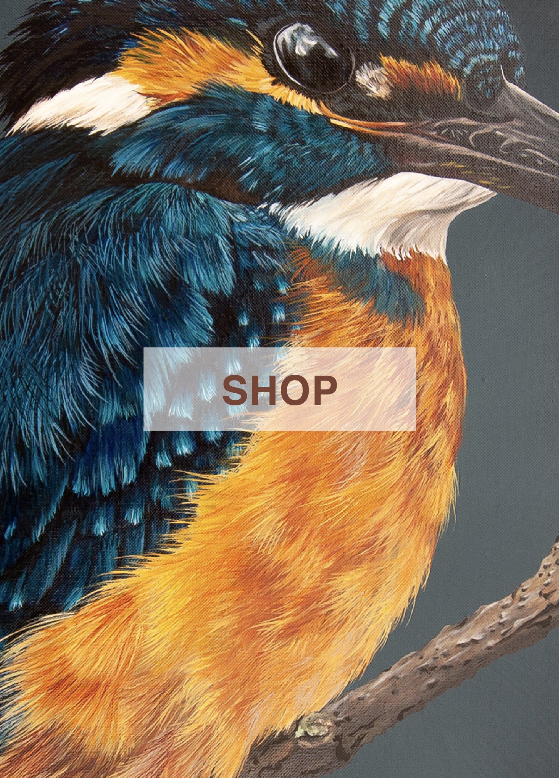 Charlotte Sutton Studio | Bringing Nature To Life